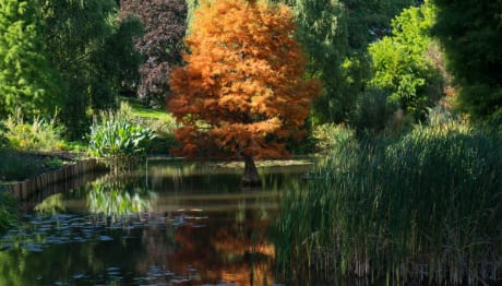 Rosebourne Food Hall at Hillier - Supporting Local Suppliers