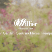Hillier Garden Centre Hemel Hempstead, Hertfordshire