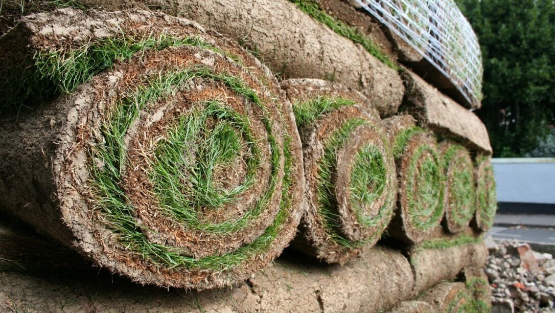 Guide to Laying Turf | Hillier Garden Centres