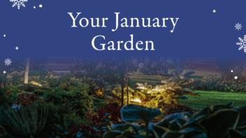 Your January Garden: January Gardening Tips & Advice | Hillier