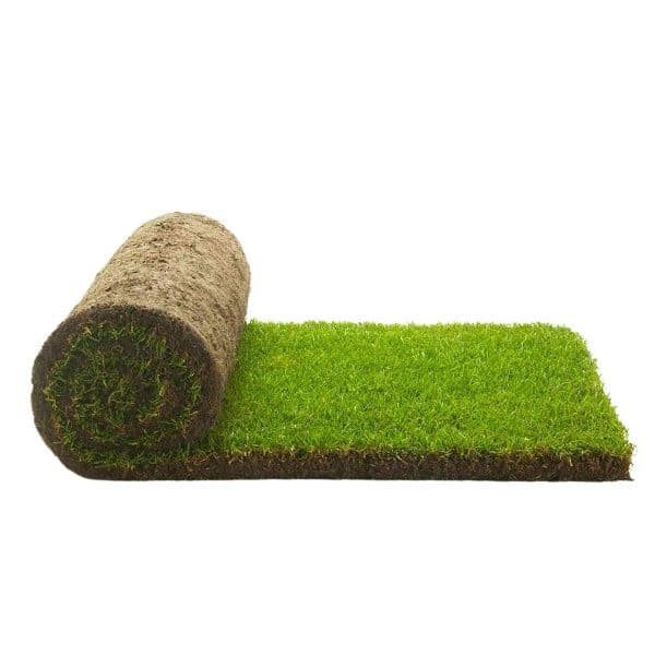 Rolawn Medallion Grass Turf - 10 Rolls