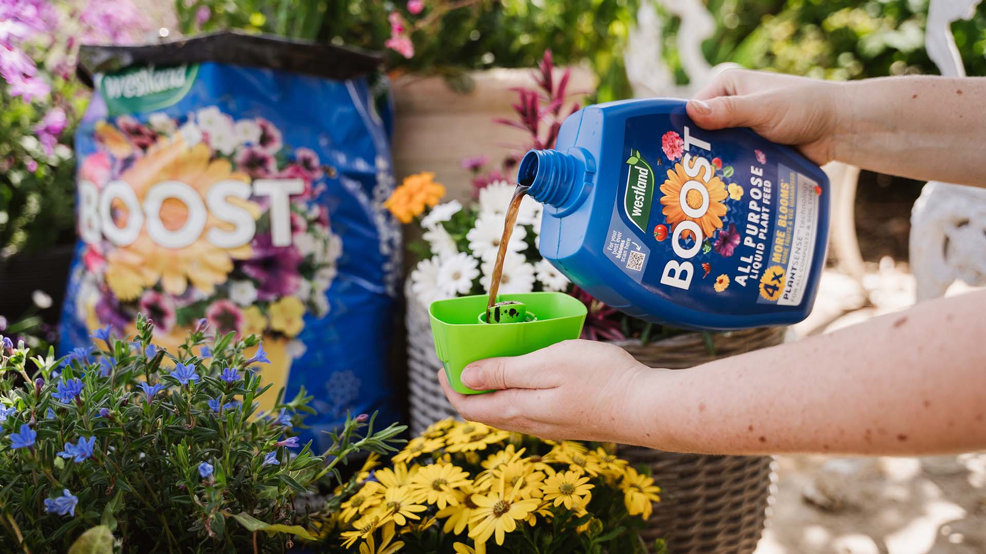 Give Your Garden a Boost This Season With Westland’s Boost