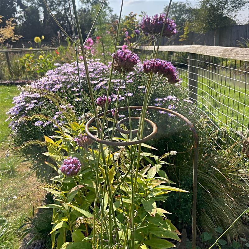 Pig Tail Steel Plant Support - Single