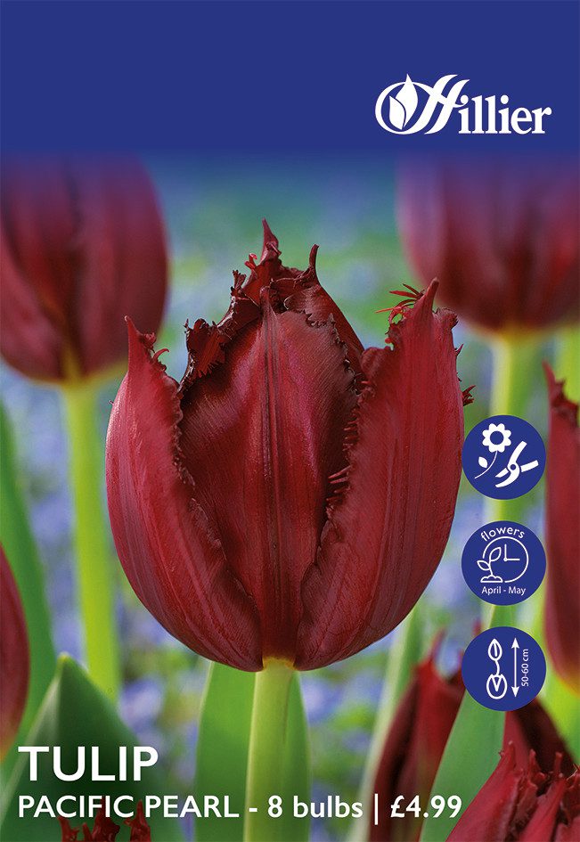 Flower Bulbs & Tubers - Hillier