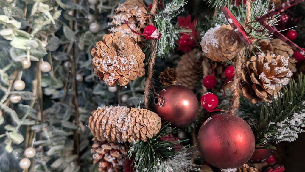 Christmas at Hillier Garden Centres