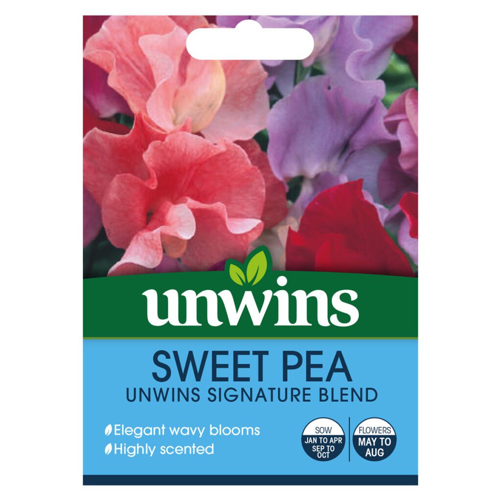 Unwins Sunflower Giant Single Seeds