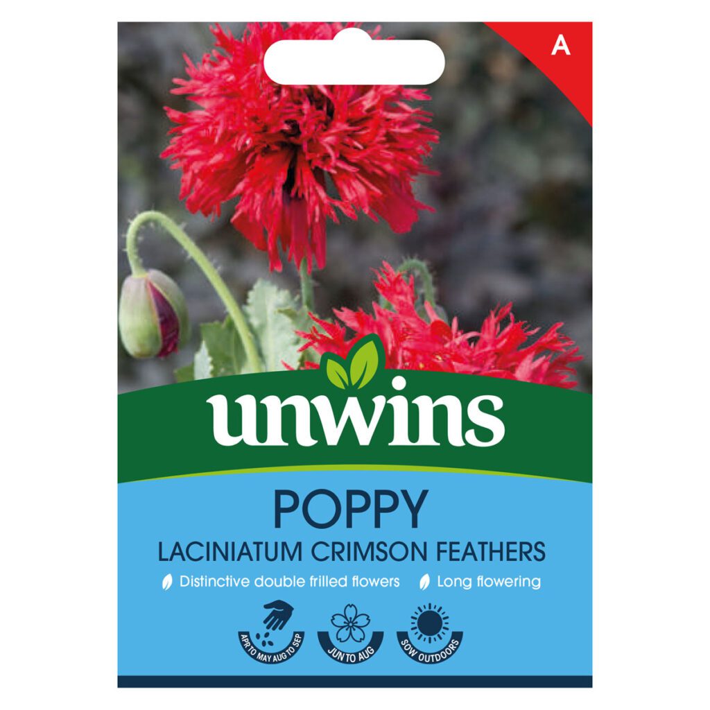 Unwins Poppy Crimson Feathers Seeds