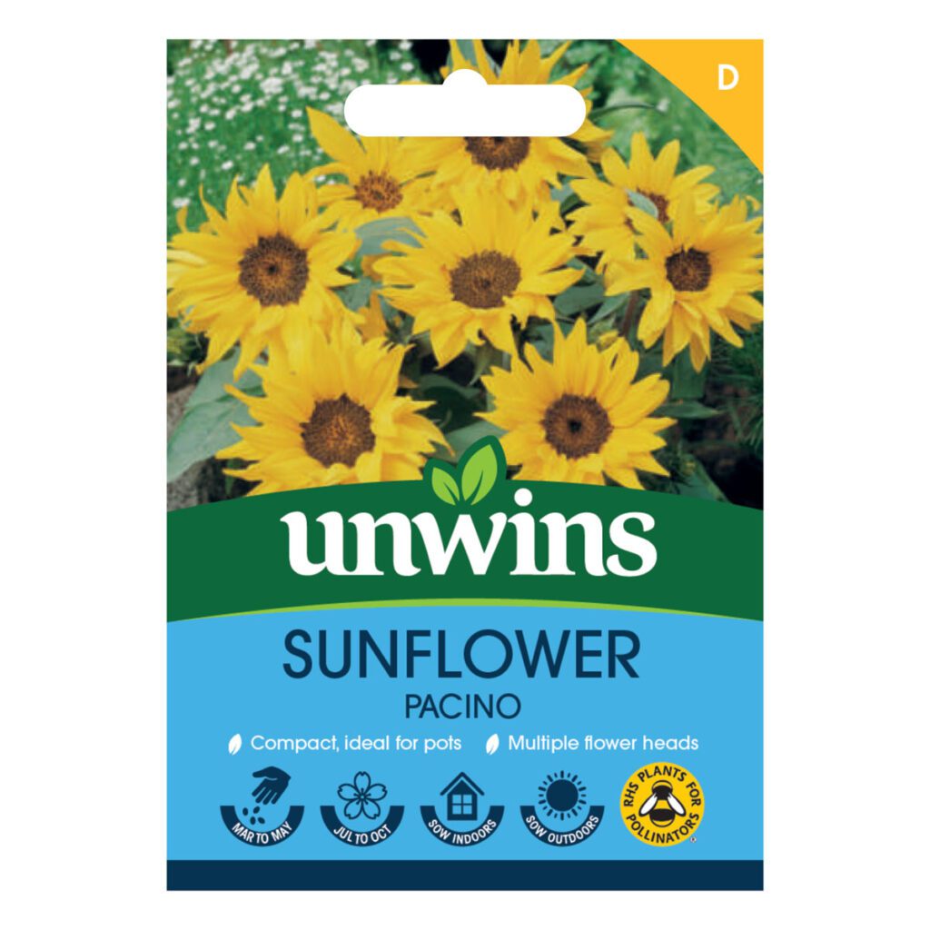 Nature's Haven Sunflower Tall Timbers Seeds